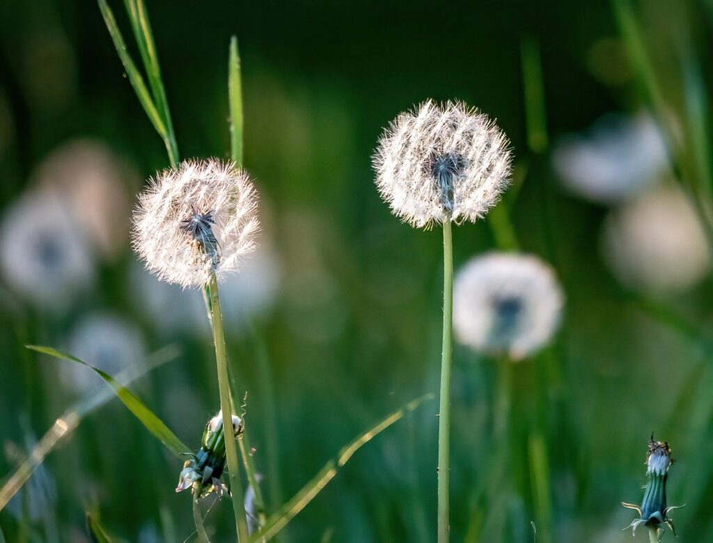 How To Find Clarity When You’re Mentally Exhausted In Life
